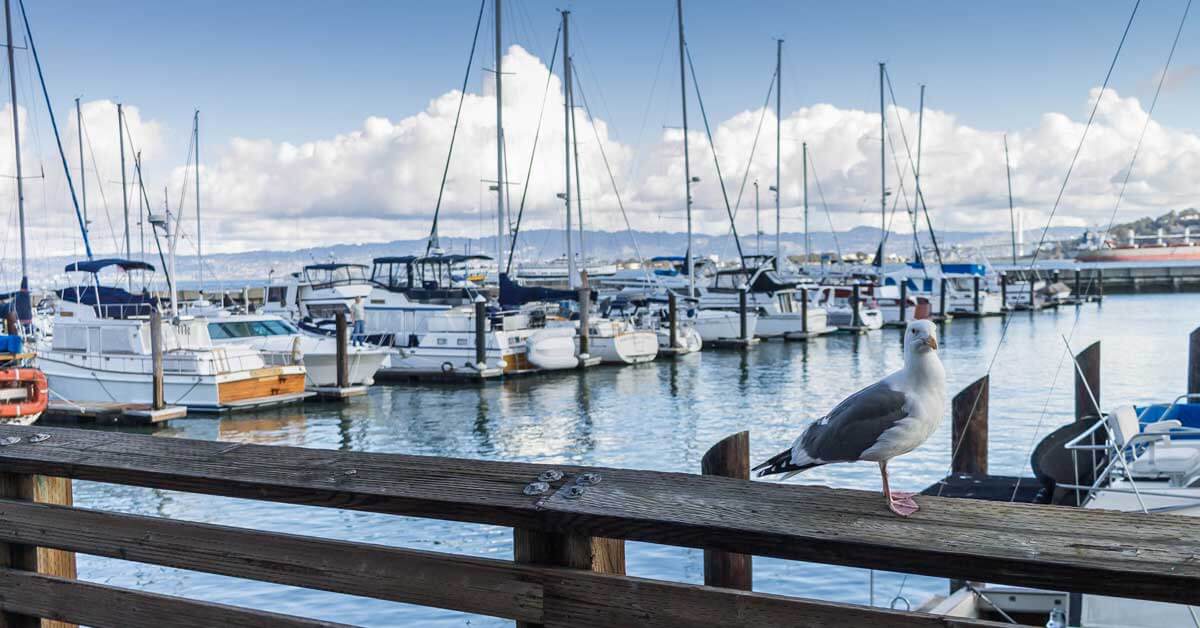 Best Marinas in San Francisco – Life of Sailing