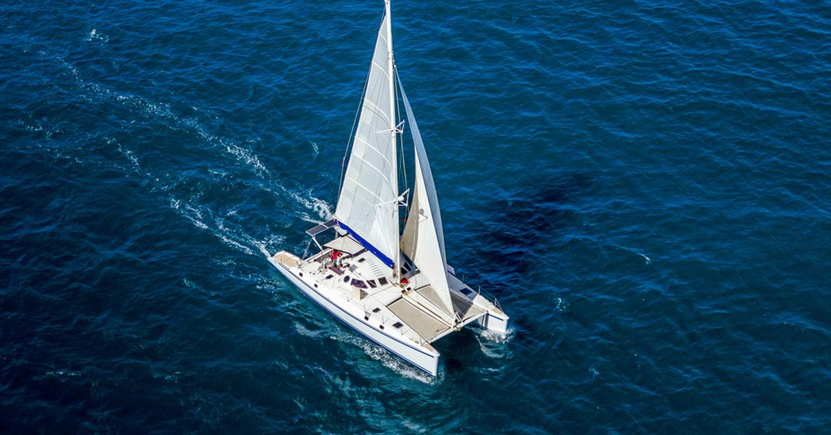 How Fast Do Catamarans Go? – Life of Sailing