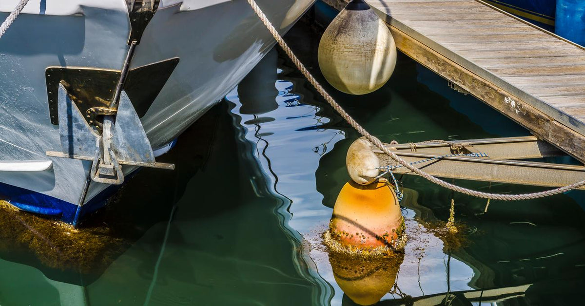 How To Anchor A Pontoon Boat – Life of Sailing
