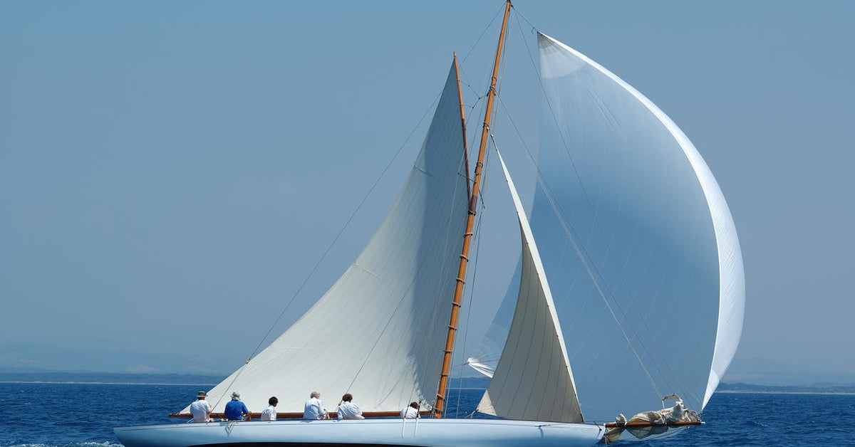 What Is Sail Roach? – Life of Sailing