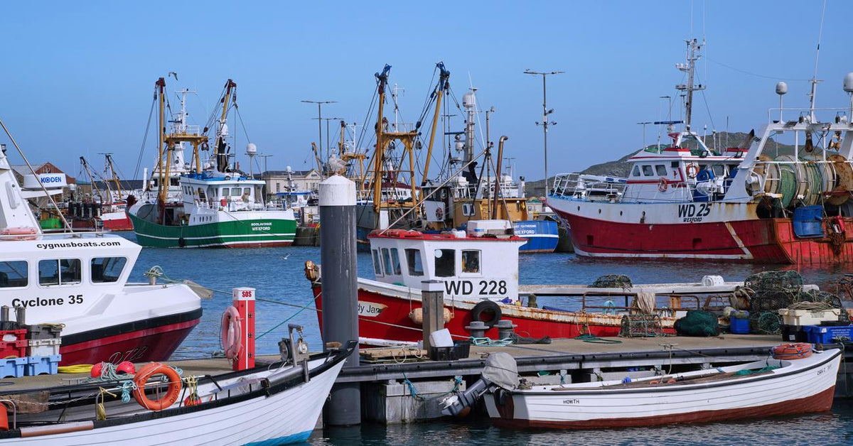 Affordable Sailboats You Can Build at Home – Life of Sailing